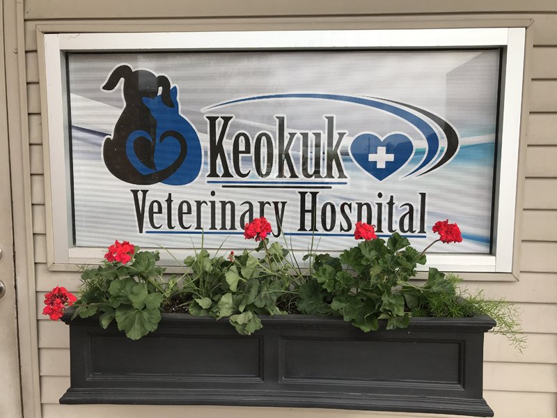 About Us - Keokuk Veterinary Hospital